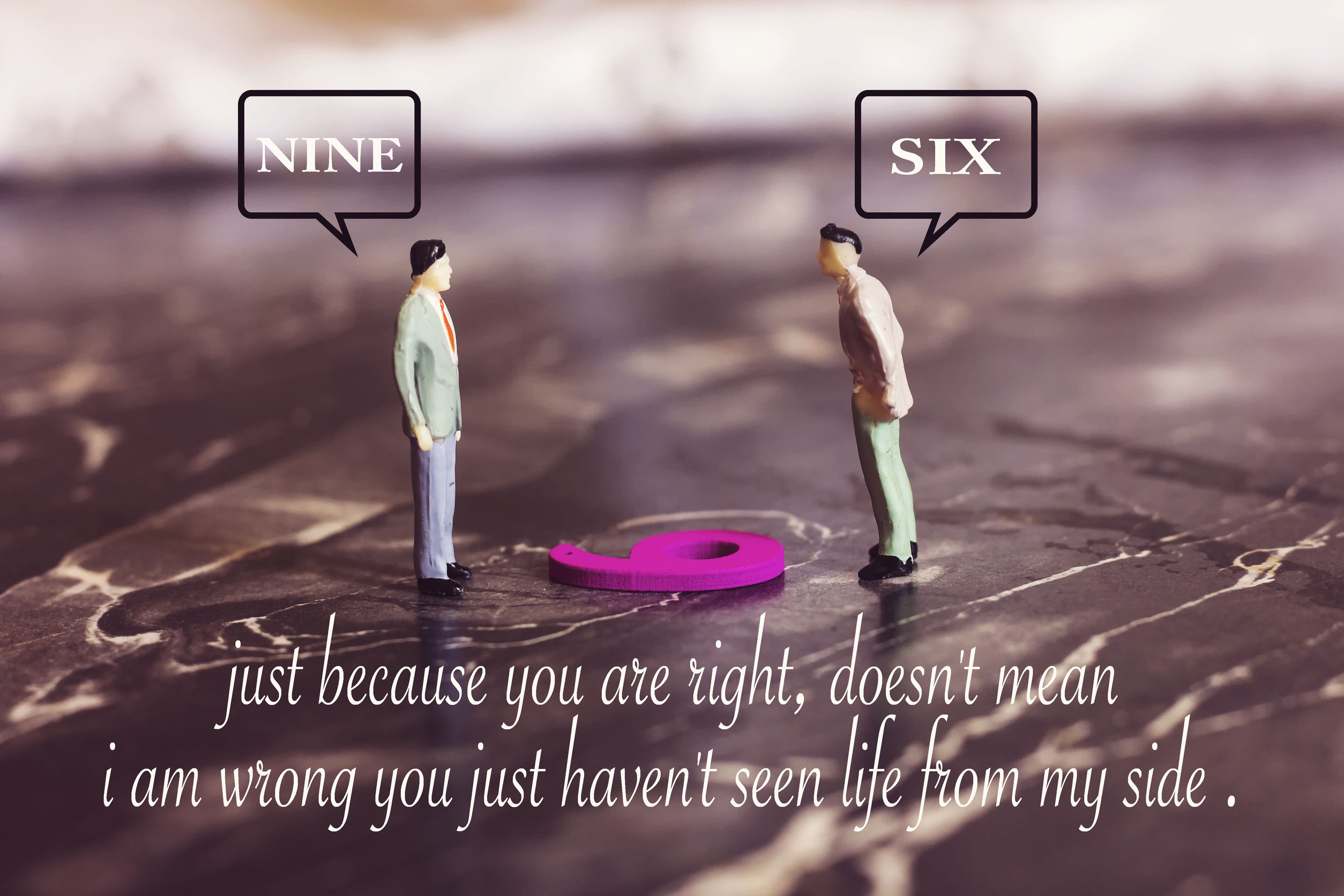 Acorn Chronicles – Dr. Lee Ann Nutt